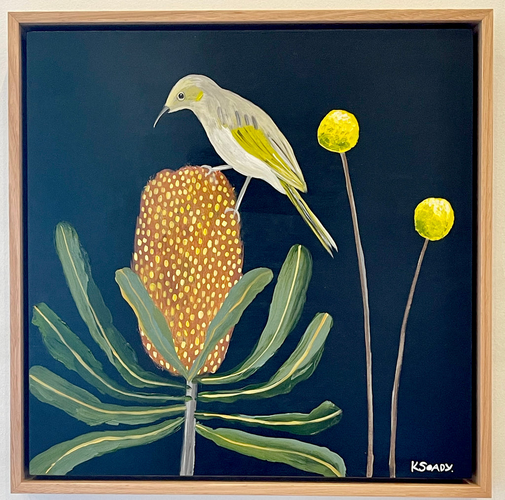 Fuscous Honeyeater – Moontree Studio