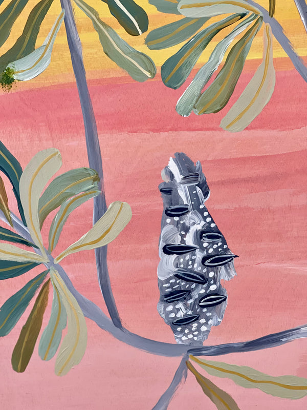 Banksia Sunset - Moontree Studio