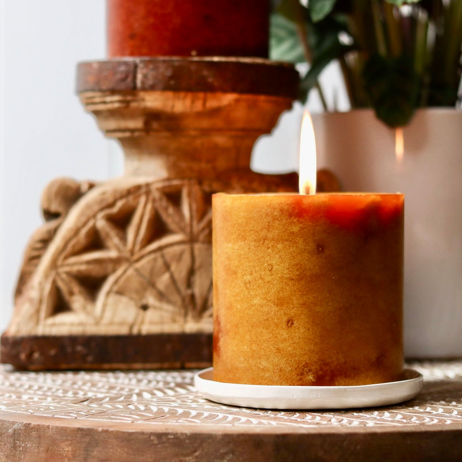 Native Garden – Moontree Studio