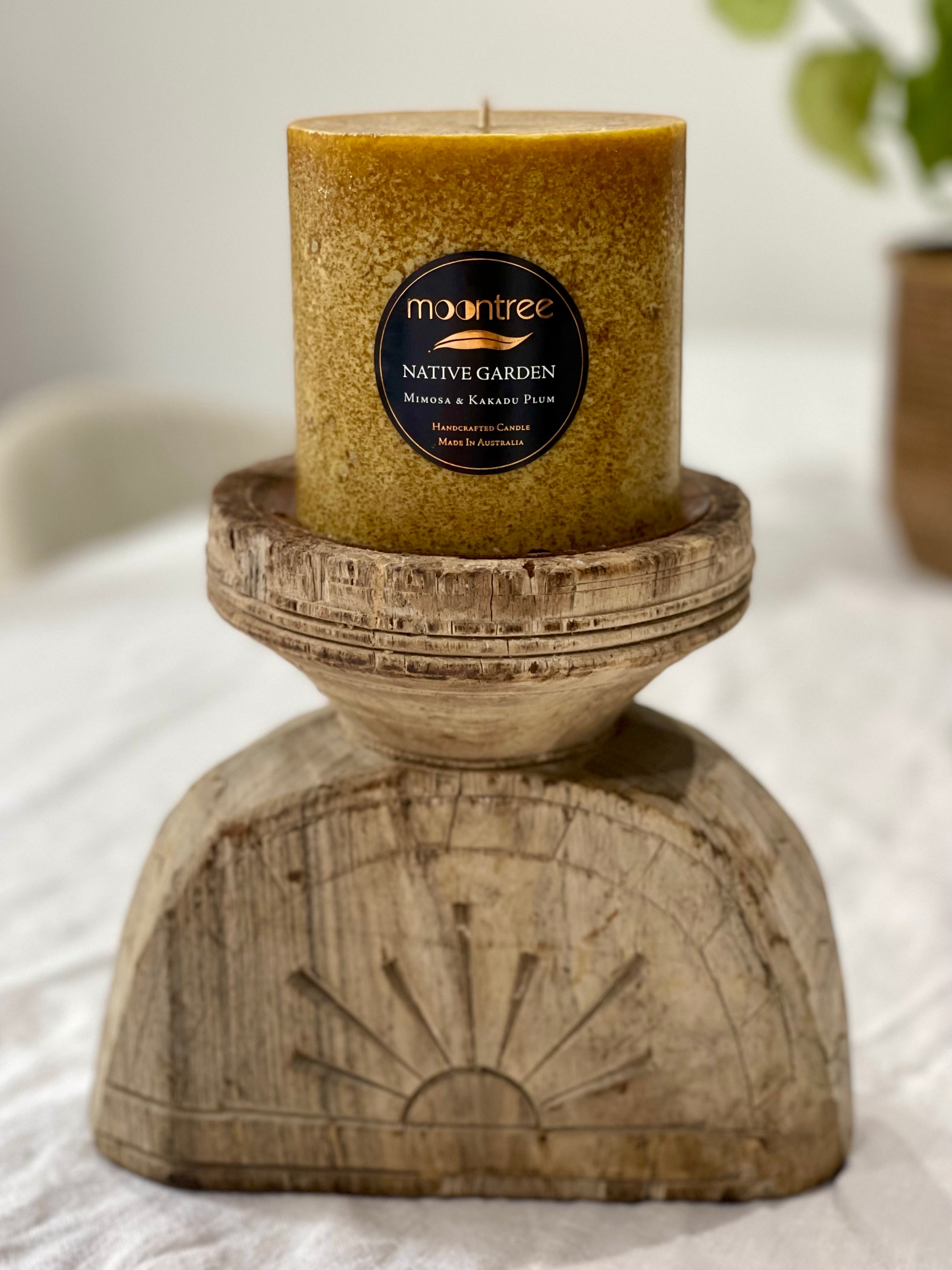 Native Garden – Moontree Studio