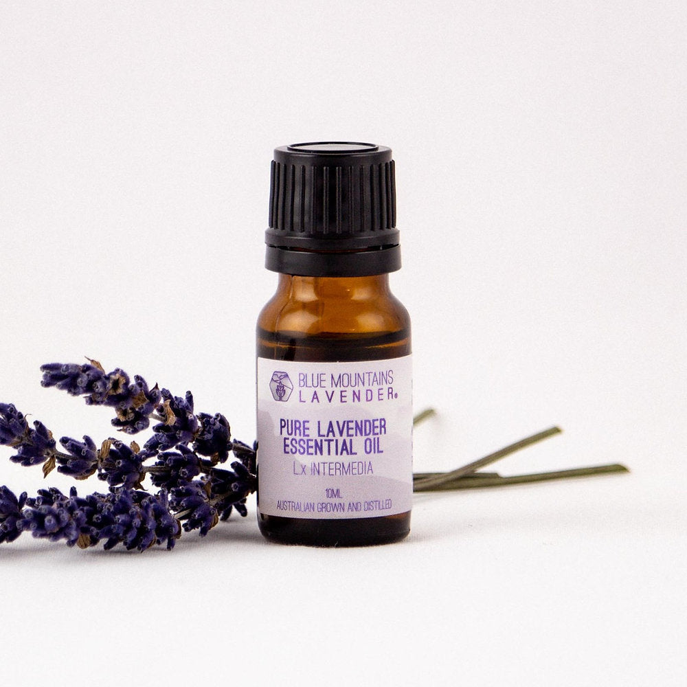 Pure Lavender Oil – Moontree Studio